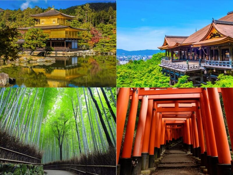 Gion? Arashiyama? or BOTH? Adventure With a Local Guide! - Taking in the Kiyomizu-dera Experience