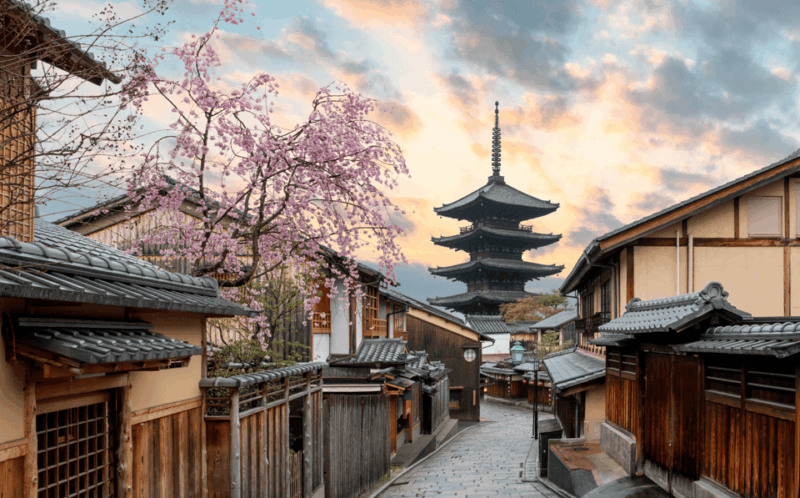 Gion? Arashiyama? or BOTH? Adventure With a Local Guide! - Marveling at the Kinkaku-jis Golden Pavilion