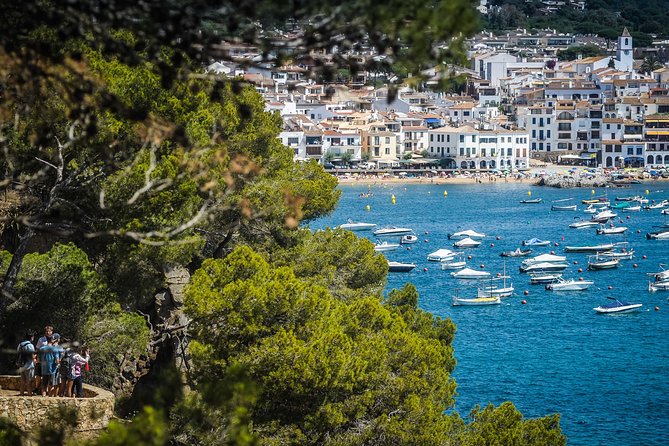 Girona and Costa Brava Private Day Trip From Barcelona - Traveler Experience