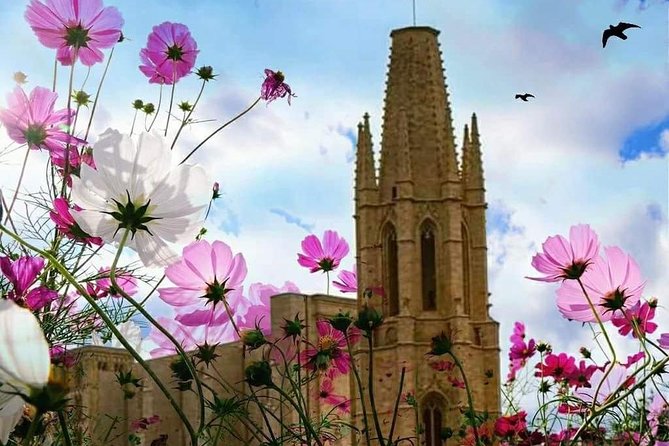 Girona Guided Tour With Cathedral, Arab Baths & St Feliu Basilica - Strolling Through the Old Jewish Quarter