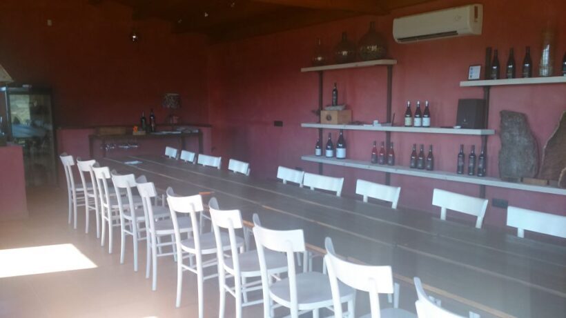 Girona: Local Wineries Tour with Breakfast and Wine Tasting - Final Thoughts: Who Will Love This Tour?