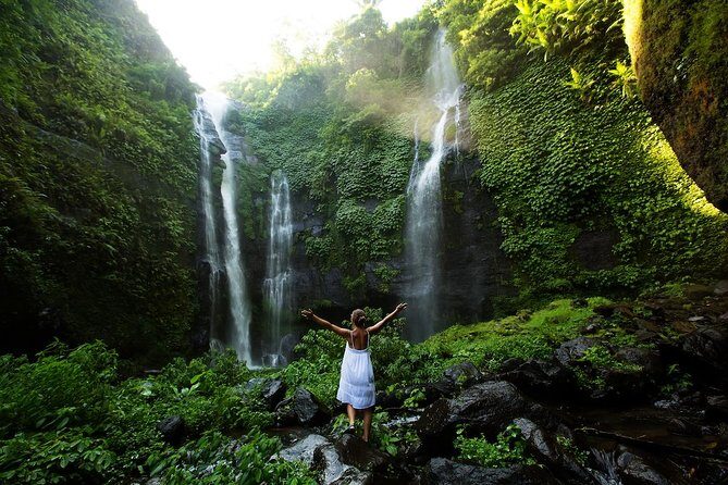 Gitgit and Alingaling Waterfalls Private Group Tour - Full Day - Final Thoughts