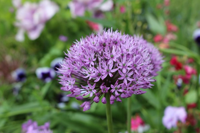 Giverny and Monets House Guided Half Day Trip From Paris - Meeting Points and Schedule