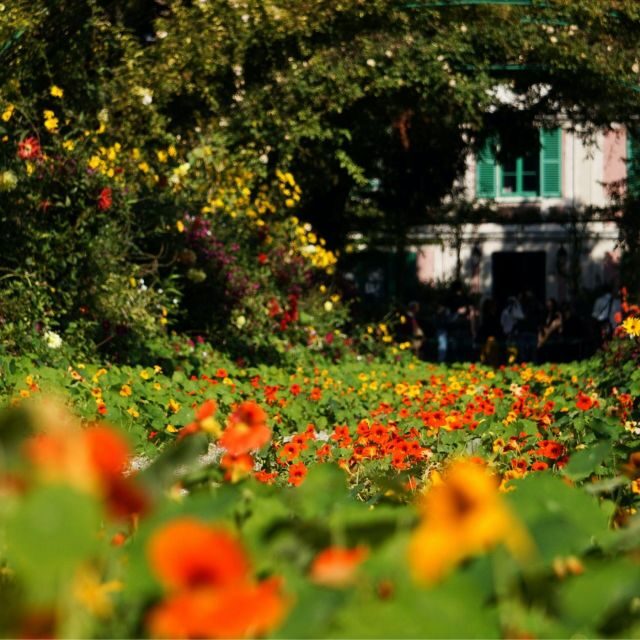 Giverny : Monet's house & Gardens Private tour from Paris - Authentic Experiences and Traveler Feedback