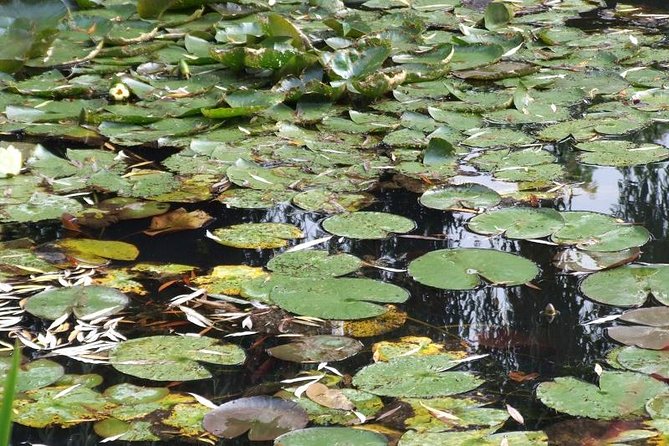 Giverny Monet's House Gardens Small-Group with Hotel* Pickup - The Experience: What Sets It Apart