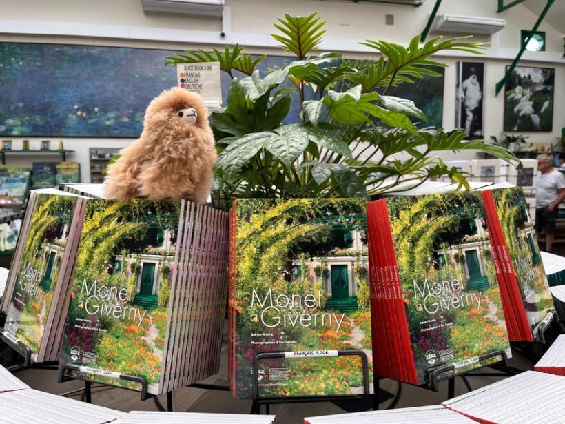 Giverny & Versailles Full-day Tour by Comfort Car - Who Will Love This Tour?