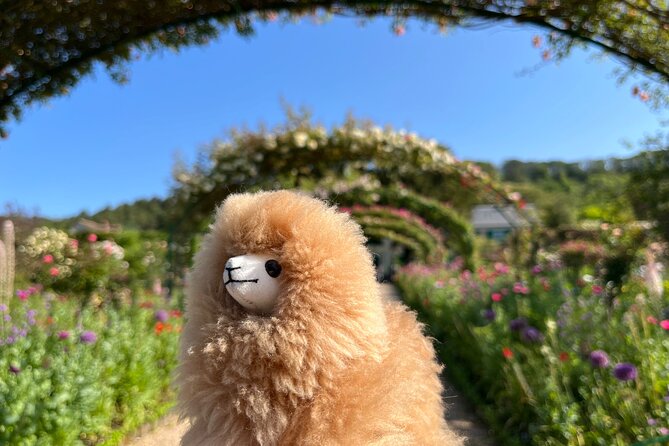 Giverny & Versailles Private Guided Tour With Ticket Entry - Pickup and Meeting Points