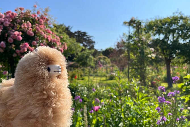 Giverny & Versailles Private Guided Tour With Ticket Entry - Discover the Splendor of Versailles