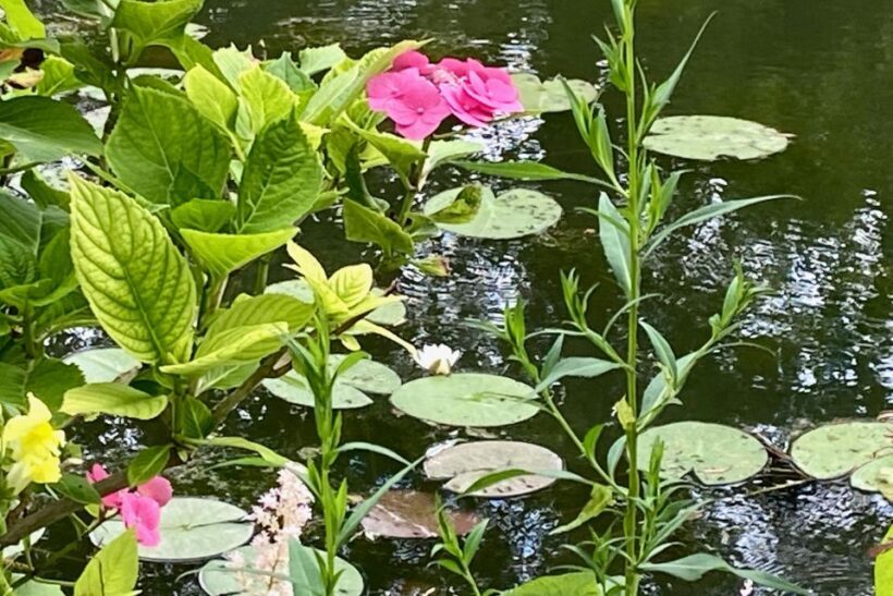 Giverny Versailles Trianon Small Group by Minivan from Paris - Summary: Who Should Book This Tour?