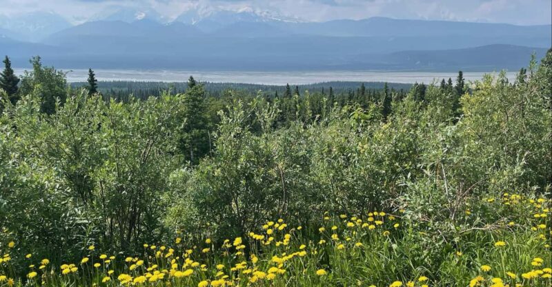 Glacial Lake, Waterfall and rainforest. Beauty of Turnagain! - Who Will Love This Tour?