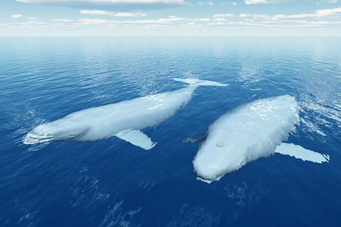 Glacier Hike on Matanuska Glacier - Best Vacation Value - Final Thoughts