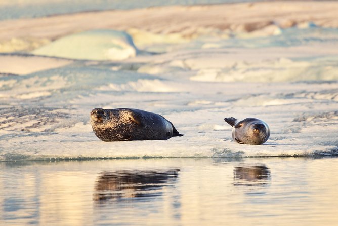 Glacier Lagoon & Northern Lights Small-Group Tour From Reykjavik - Exploring the Glacier Lagoon