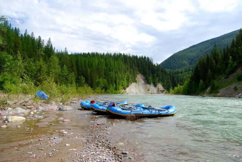 Glacier National Park: Scenic Float on the Flathead River - An In-Depth Look at the Scenic Float Experience