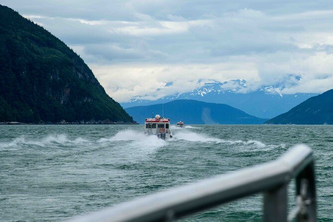 Glacier Point Wilderness Safari - What Travelers Are Saying