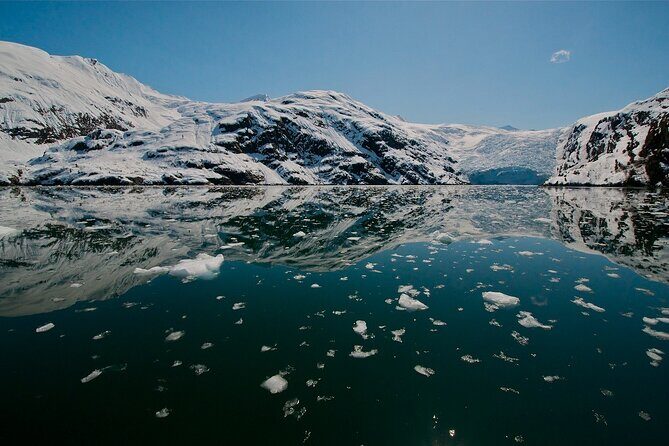 Glacier Quest Cruise and Coach Package - Authentic Experiences from Fellow Travelers