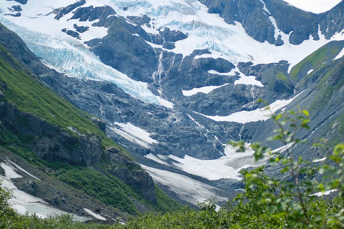 Glacier View & Wildlife Anchorage Adventure Tour - Accessibility