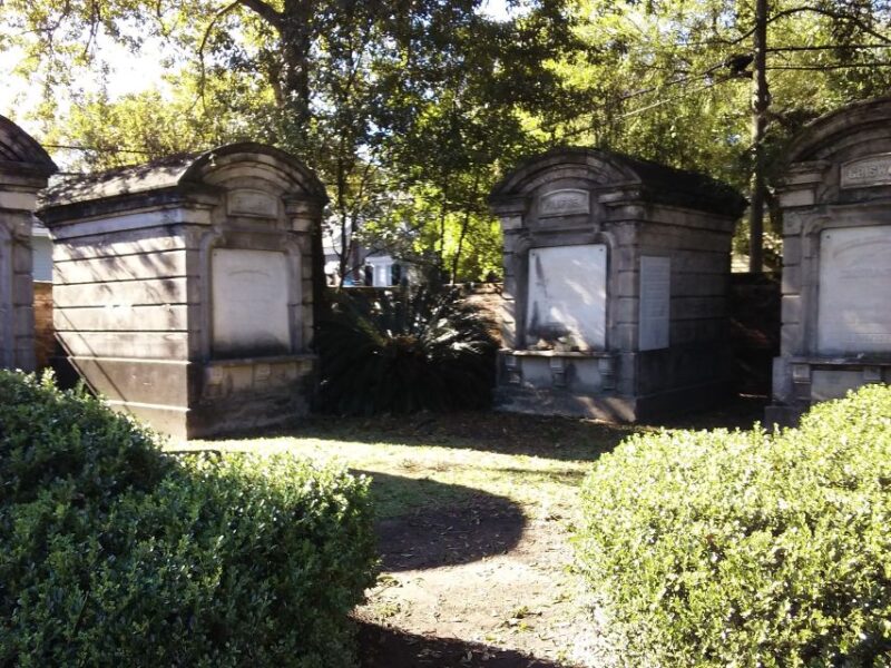 Glamorous Garden District Tour - Magazine Street: A Blend of History and Modern Life