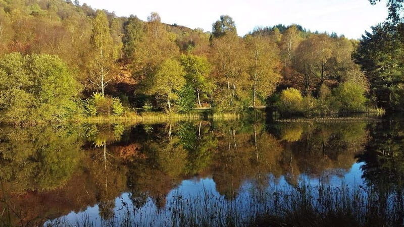 Glasgow Shore Excursion: - Loch Lomond - Stirling Castle - FAQs