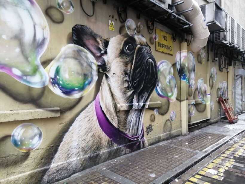 Glasgow: Street Art Guided Walking Tour - FAQs