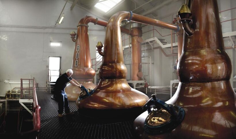 Glasgow: The Malt Master Experience at Glengoyne Distillery - What to Expect from the Glengoyne Malt Master Experience