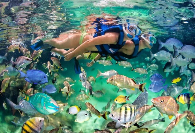 Glass Boat Adventure In Punta Cana - Glass Boat Adventure In Punta Cana: An Honest Review