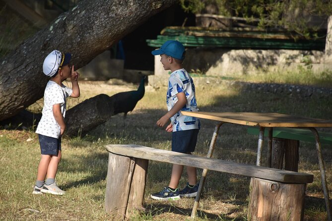 Glass boat tour Faana and panorama National Park Brijuni - Who Will Enjoy This Tour?