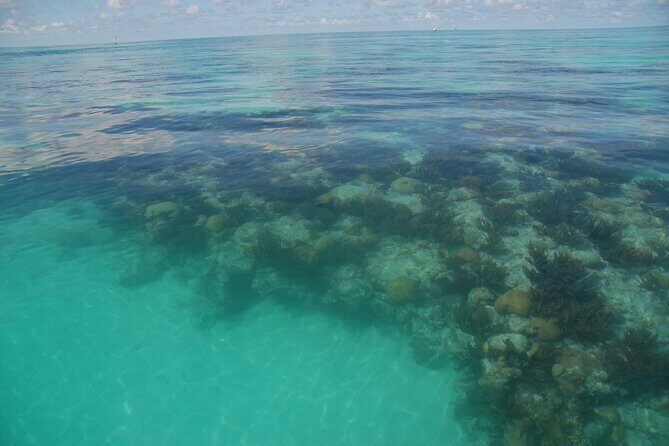 Glass Bottom Boat and Snorkeling Combo in Bermuda - FAQ