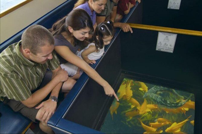 Glass Bottom Boat: Catalina Island Tour - Key Points