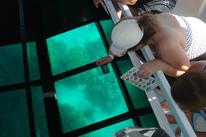 Glass-Bottom Boat Cruise from Waikoloa - Marine Life and Educational Highlights