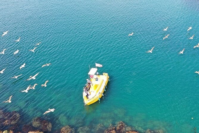 Glass Bottom Boat Ride in Redondo Beach - The Guide and Overall Experience