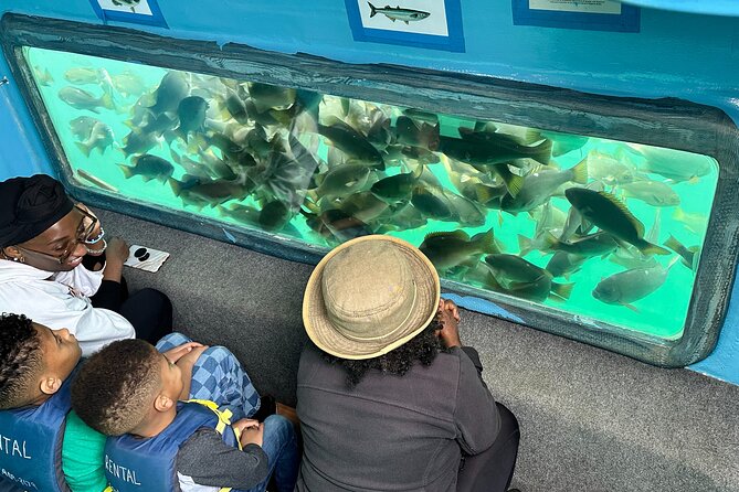 Glass Bottom Boat Ride in Redondo Beach - Practical Details and Considerations