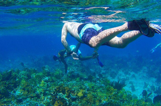 Glass Bottom Boat Ride/Snorkeling/Booby Cay Island from Negril - Snorkeling at the Reef