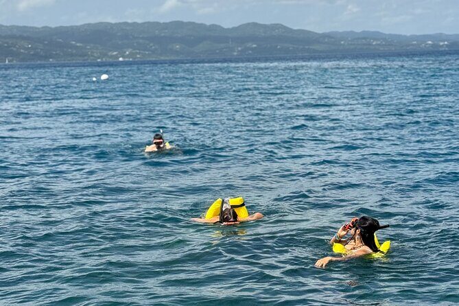 Glass bottom Boat Tour and Snorkeling Experience in Montego Bay - The Itinerary Breakdown