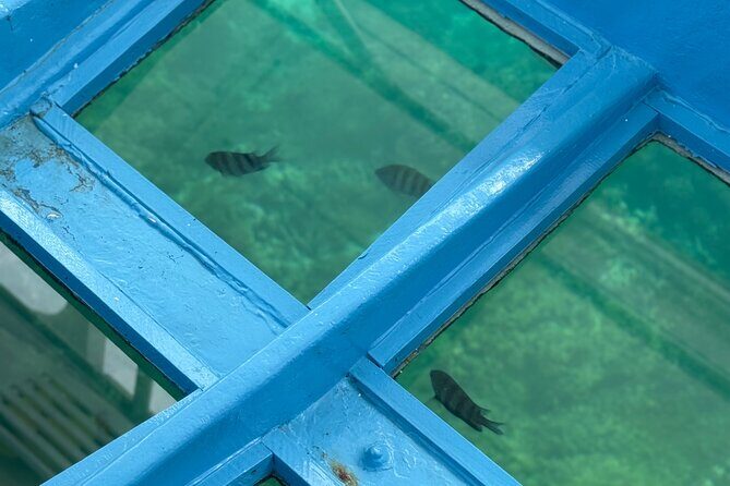 Glass bottom Boat Tour and Snorkeling Experience in Montego Bay - Practical Tips for Travelers