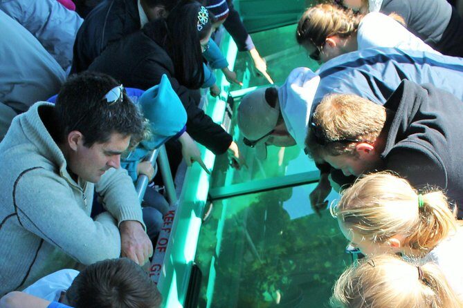 Glass Bottom Boat Tour - Key Points
