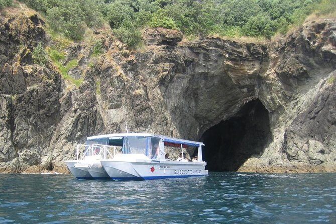 Glass Bottom Boat Tour - An In-Depth Look at the Glass Bottom Boat Experience