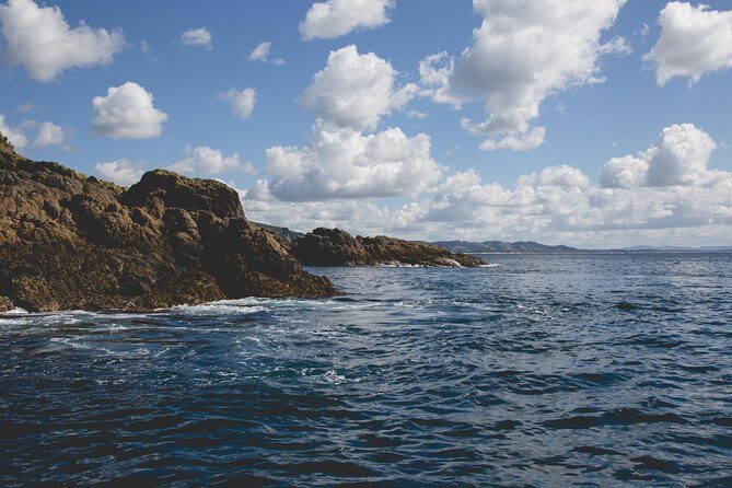 Glass Bottom Boat Tour - Who Will Love This Tour?