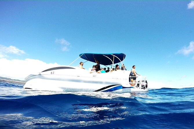 Glass Bottom Boat Tour & Snorkeling in São Miguel, Azores - Snorkeling Equipment and Safety