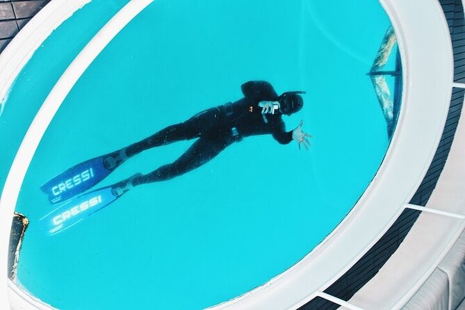 Glass Bottom Boat Tour & Snorkeling in São Miguel, Azores - Meet Your Knowledgeable Guides