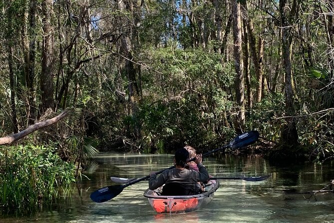 Glass Bottom Kayak Eco Tour through Rainbow Springs - Key Points