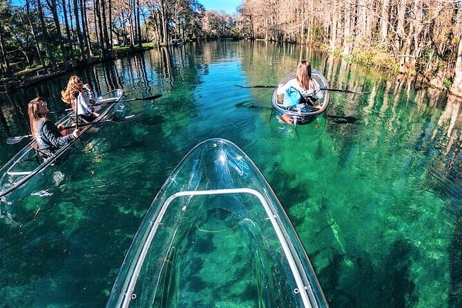 Glass Bottom Kayak Eco Tour through Rainbow Springs - Practical Tips for Participants