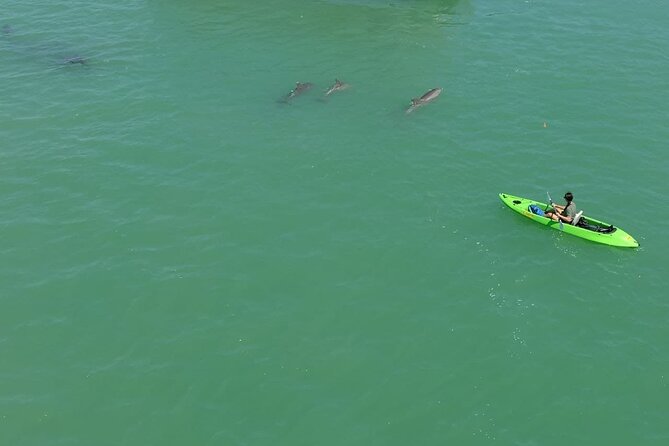 Glass Bottom Kayak Mangrove & Sandbar Adventure in St. Pete Beach - Discover the Charm of the Glass Bottom Kayak Mangrove & Sandbar Adventure in St. Pete Beach