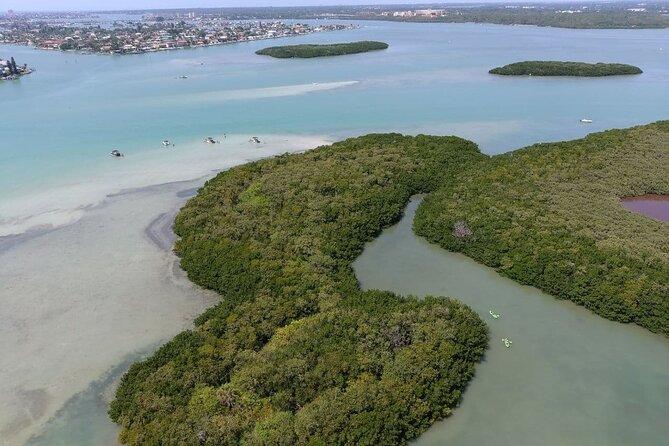 Glass Bottom Kayak Mangrove & Sandbar Adventure in St. Pete Beach - Final Thoughts: Is It Worth It?