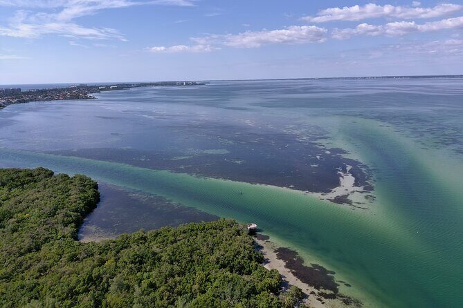 Glass Bottom Kayak Mangrove Tunnel & Sandbar Adventure Sarasota - What Makes This Sarasota Kayaking Adventure Special?