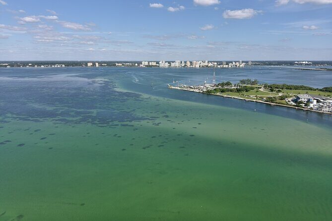 Glass Bottom Kayak Mangrove Tunnel & Sandbar Adventure Sarasota - Who Will Love This Tour?