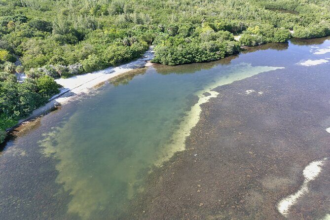 Glass Bottom Kayak Mangrove Tunnel & Sandbar Adventure Sarasota - FAQ