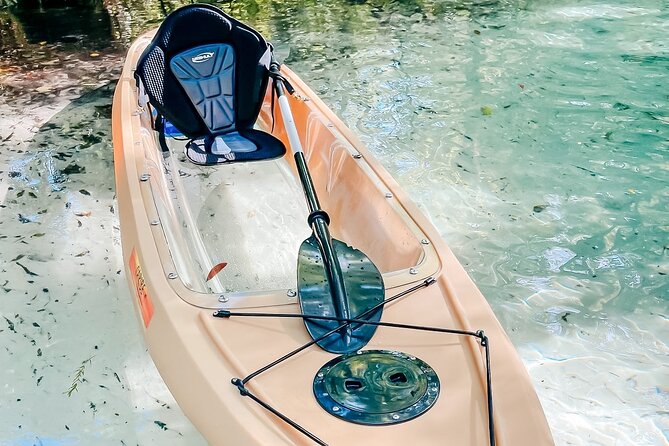 Glass Bottom Kayak - Silver Springs & Wildlife Tour - Meeting and Logistics