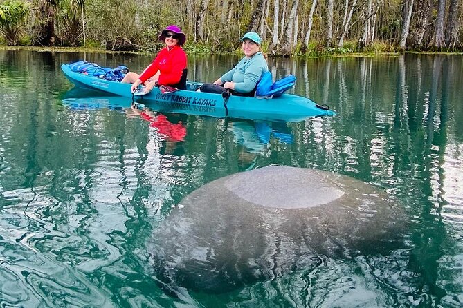 Glass Bottom Kayak - Silver Springs & Wildlife Tour - Health and Safety Requirements