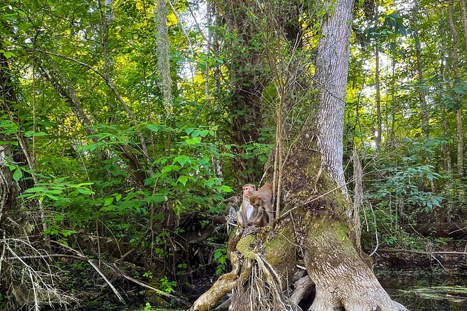 Glass Bottom Kayak Tours of Silver Springs - Who Will Love This Tour?