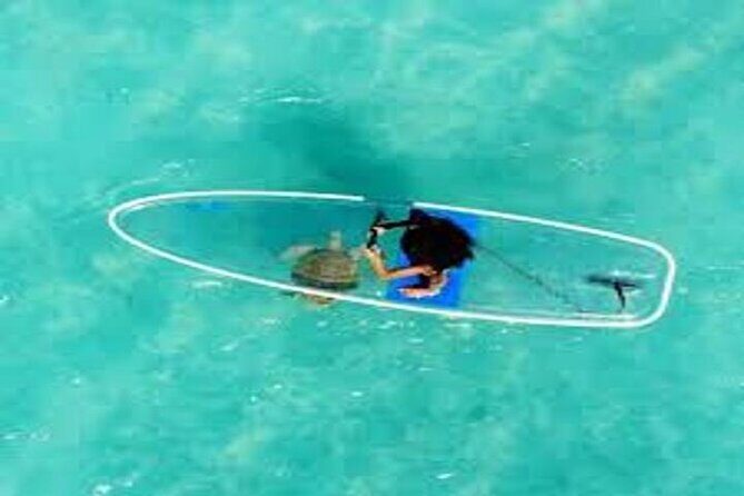 Glass Bottom SUP Rentals at Condado Lagoon - FAQs